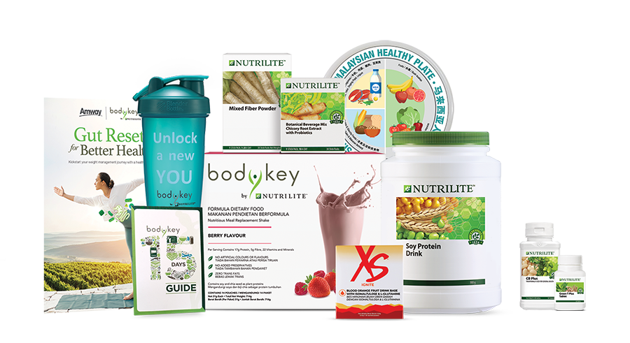 BODYKEY BY NUTRILITE MEAL REPLACEMENT SHAKE (CHOCOLATE)